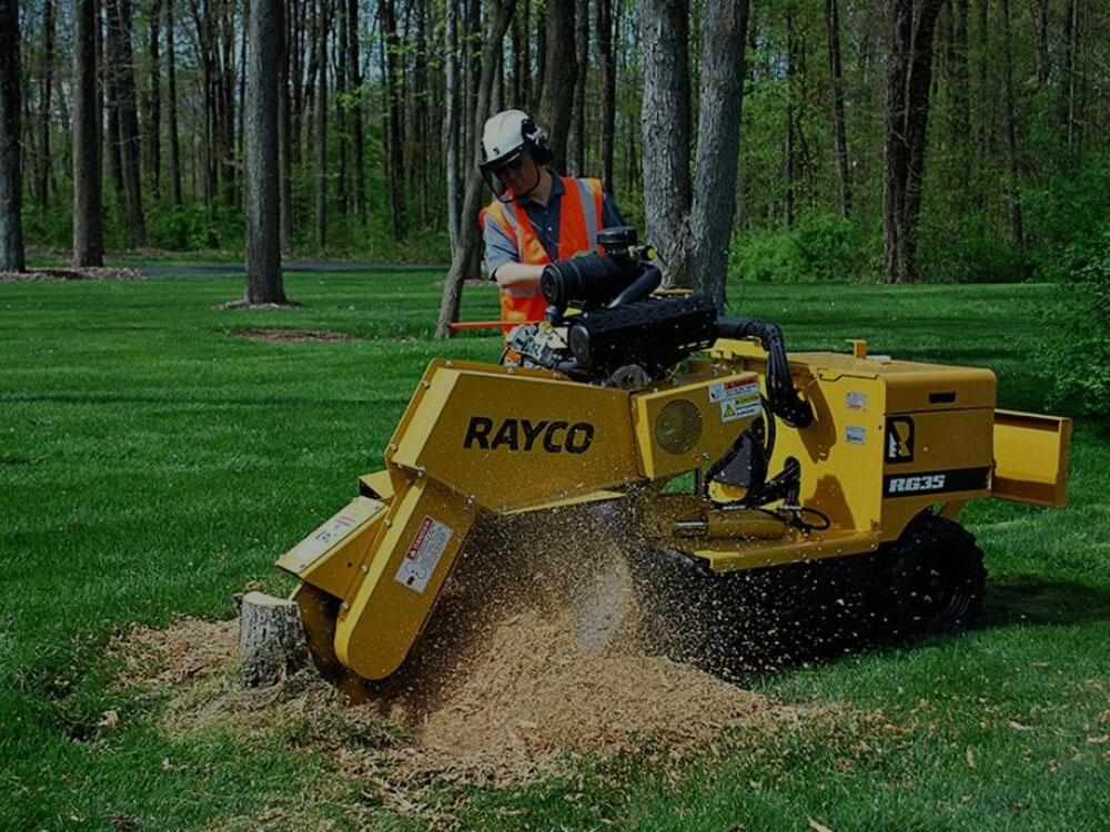 Stump Grinding In Allen TX Tree Services stump-grinding-in-allen-tx-tree-services